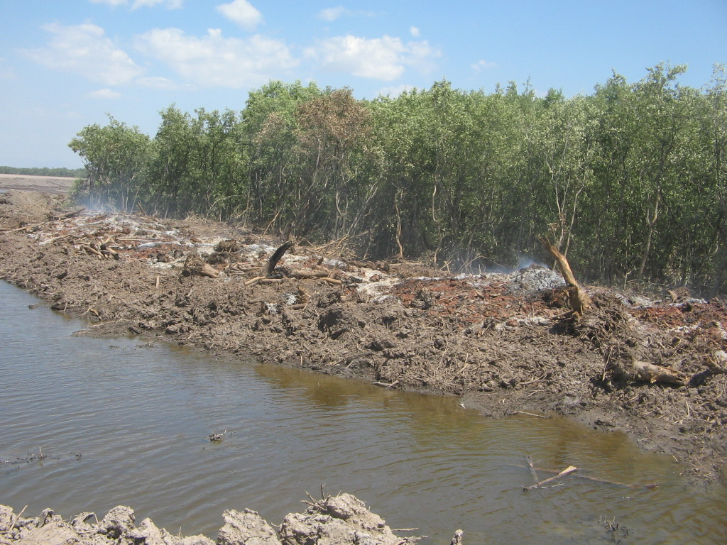 BERMAR (7) - El Pulso