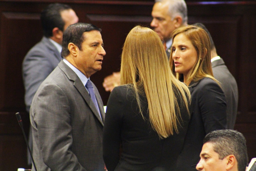 Congreso Nacional Alberto Chedrani Kritza Pérez Ana Joselina Fortín ...